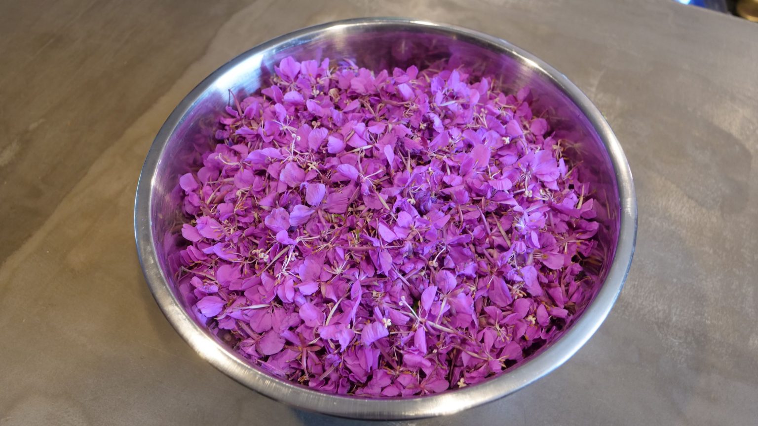 Fireweed jelly – Big Red's Cooking